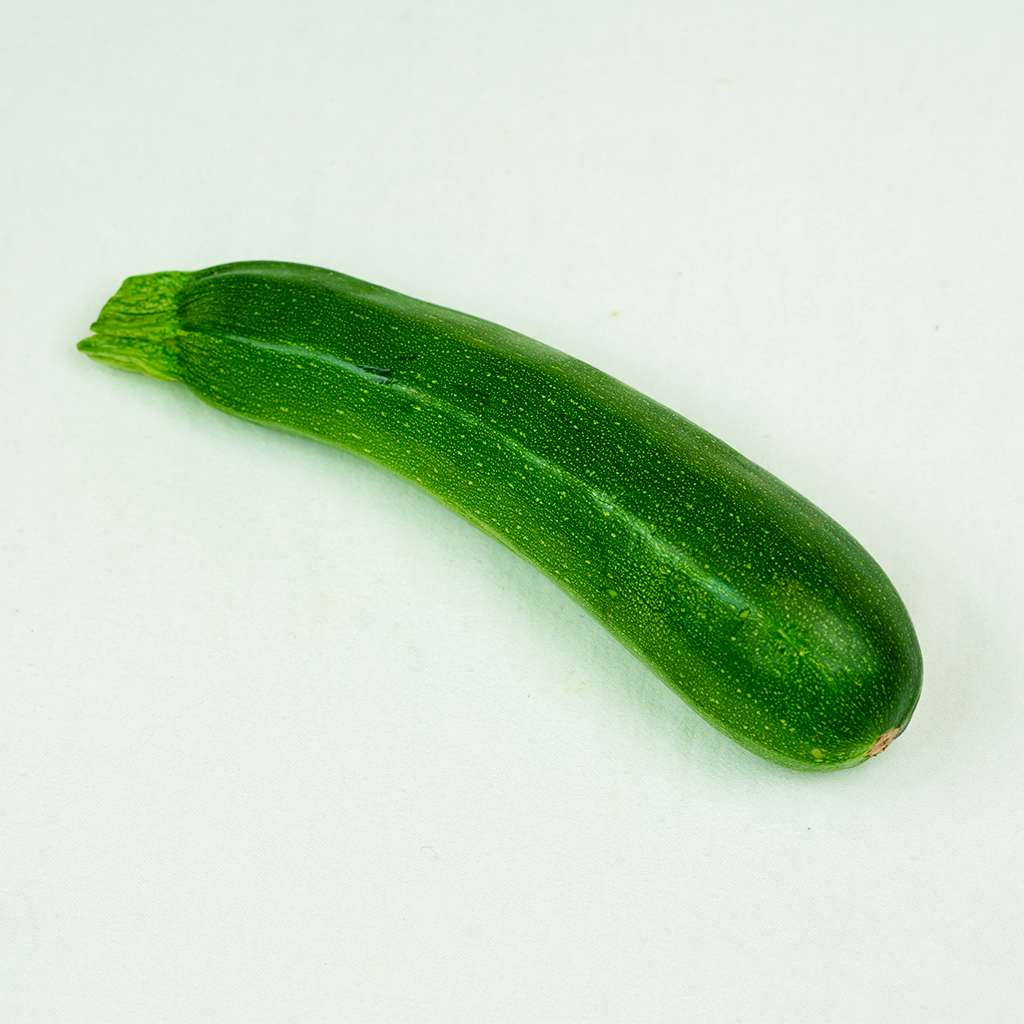 Green Zucchini - Medium | Soft Stuff Distributors